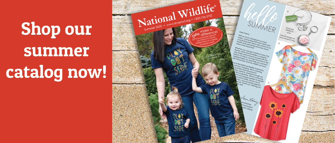 The National Wildlife Federation