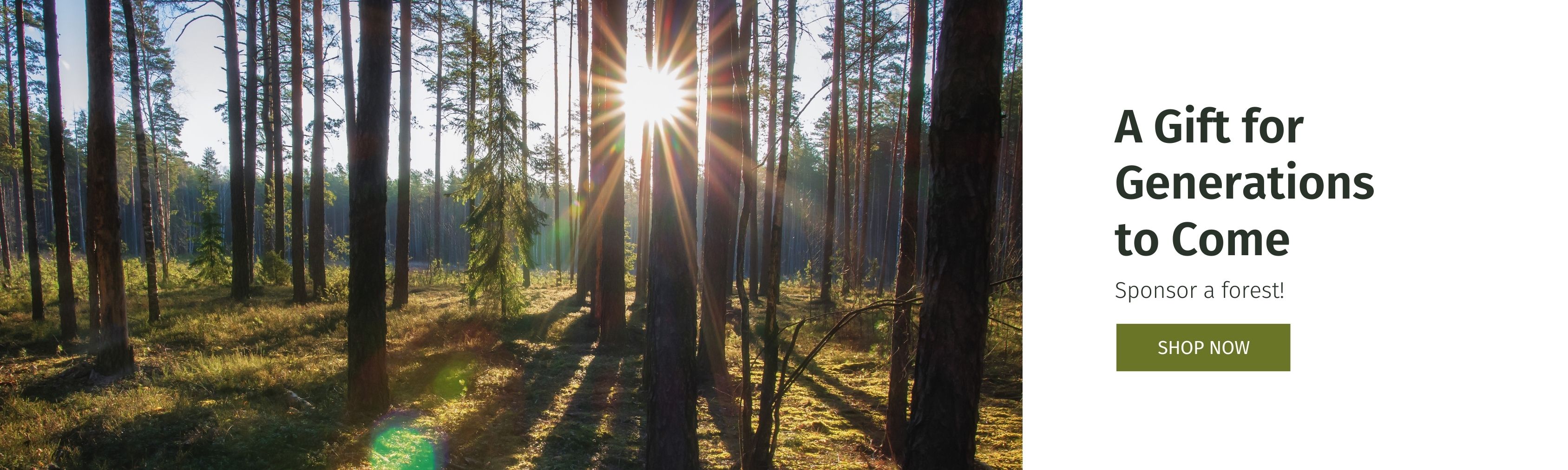 The National Wildlife Federation