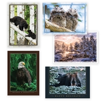 Cards | The National Wildlife Federation