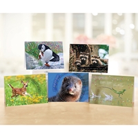 Cards | The National Wildlife Federation