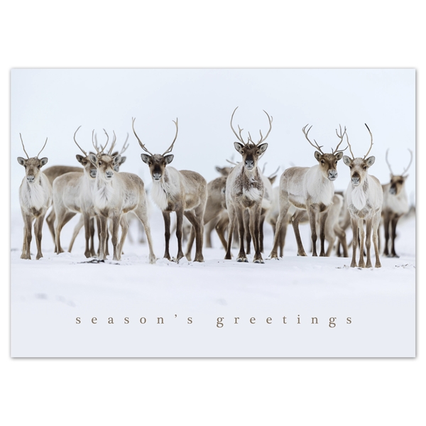 Cards & Gifts>Cards>View All Holiday Cards| Page 3