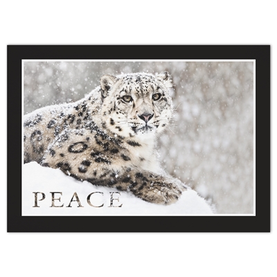 Cards | The National Wildlife Federation