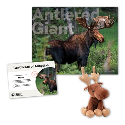 Adoption Center>Adopt an Animal>Adopt a Moose