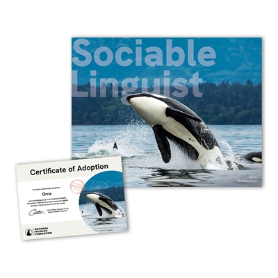 Adoption Center>Adopt an Animal>Adopt an Orca